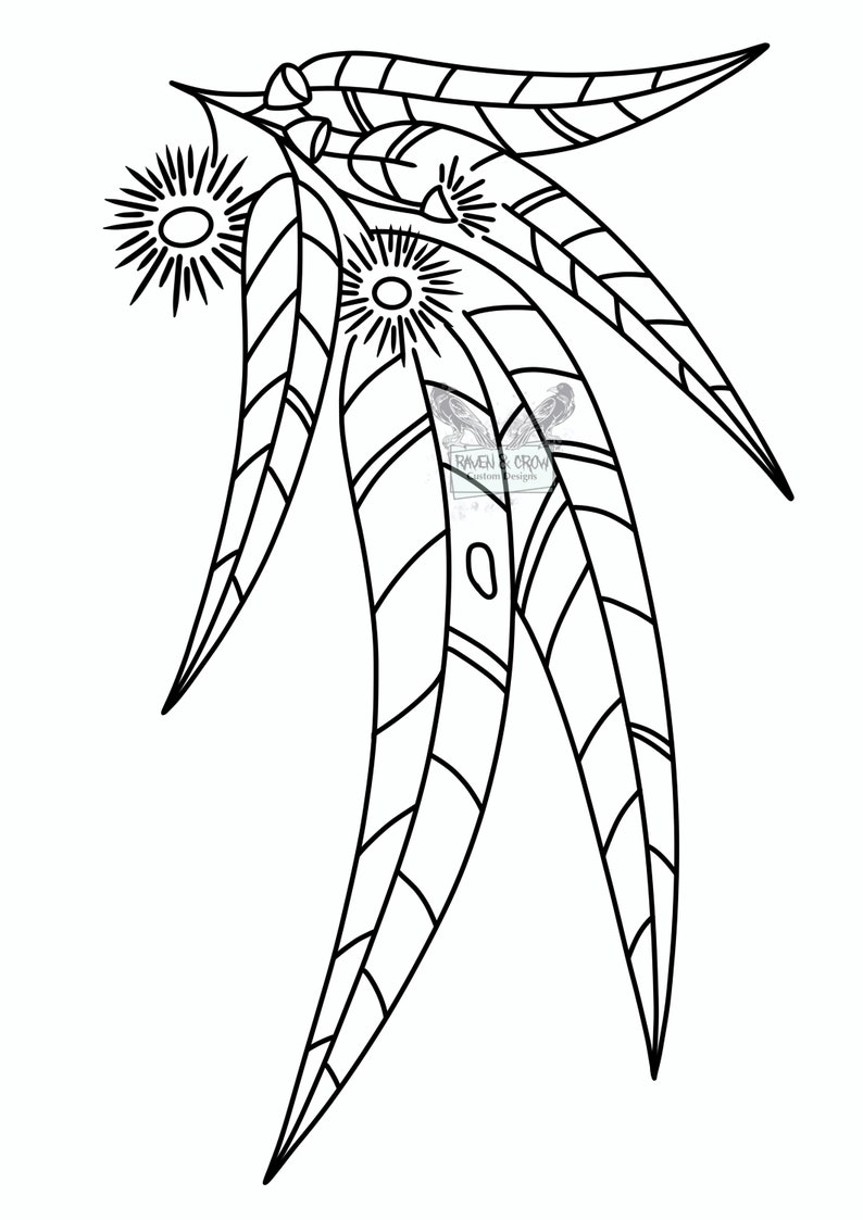 Eucalyptus-gum Leaf-gum Nut-svg Bundle- Foliage- Instant Download-png ...