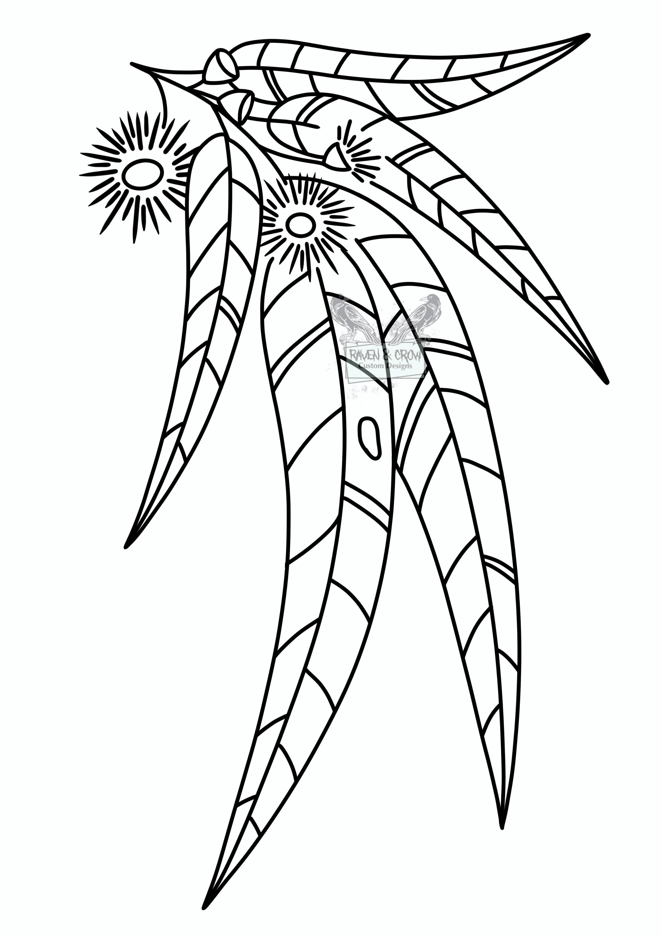 Eucalyptus-gum Leaf-gum Nut-svg Bundle- Foliage- Instant Download-png ...