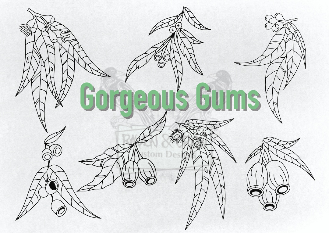Eucalyptus-gum Leaf-gum Nut-svg Bundle- Foliage- Instant Download-png ...