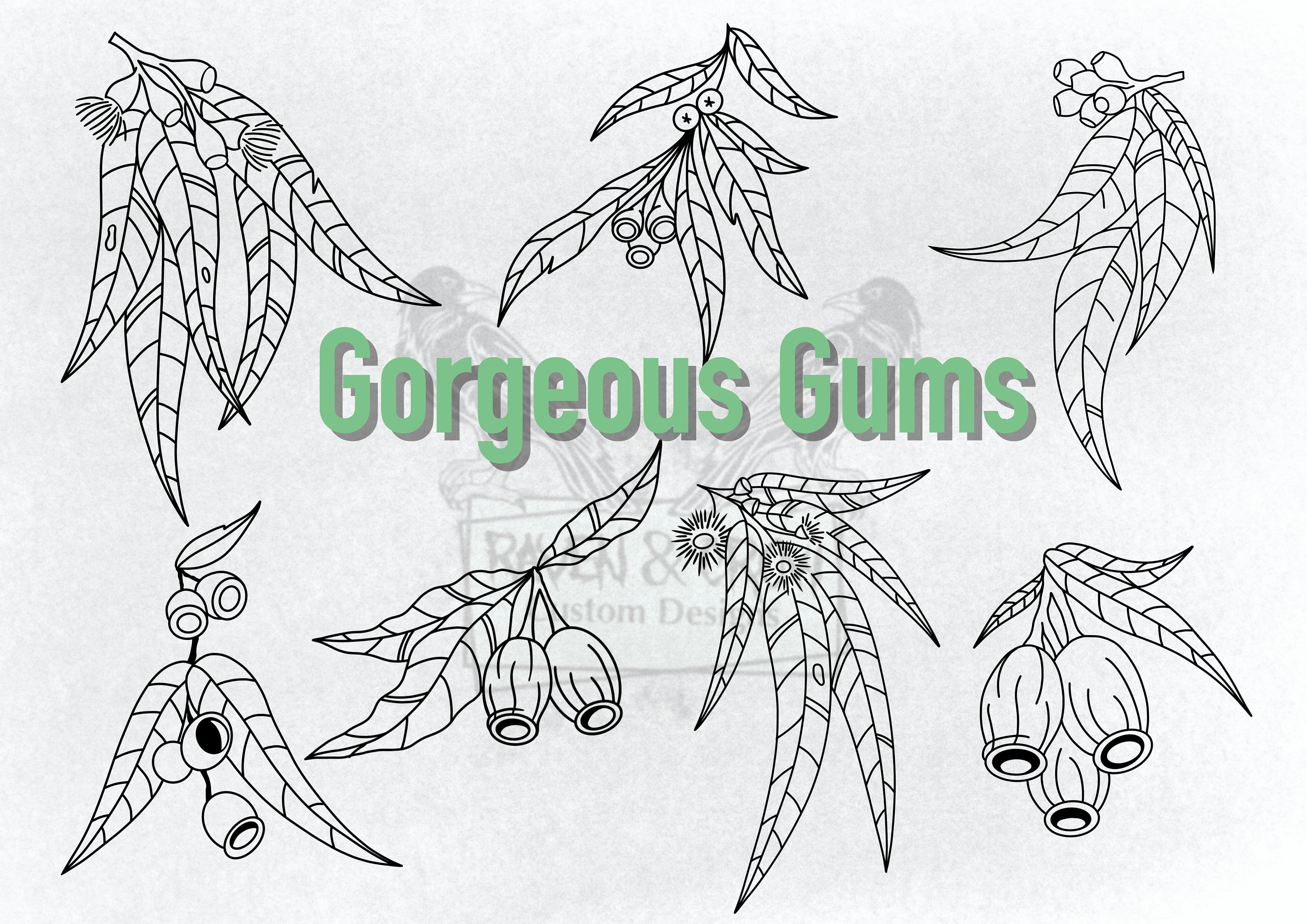 Eucalyptus-gum Leaf-gum Nut-svg Bundle- Foliage- Instant Download-png ...