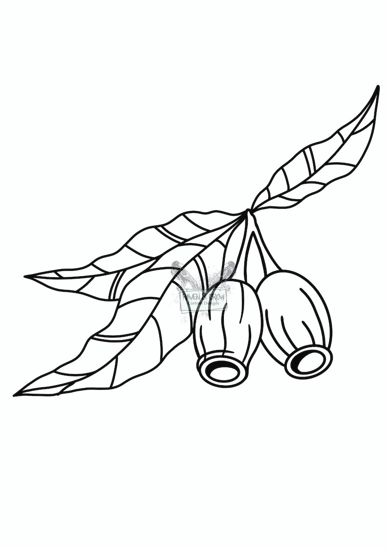 Eucalyptus-gum Leaf-gum Nut-svg Bundle- Foliage- Instant Download-png ...