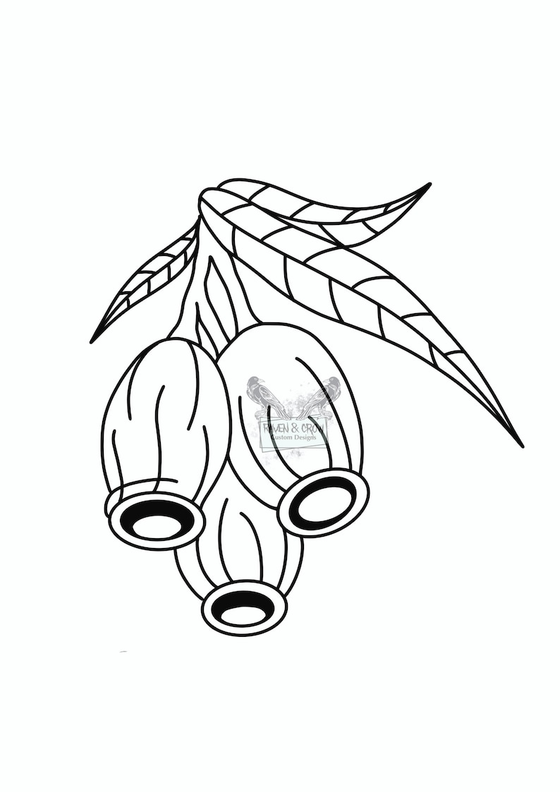 Eucalyptus-gum Leaf-gum Nut-svg Bundle- Foliage- Instant Download-png ...