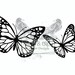 Butterfly- SVG Bundle-instant Download-png-jpg Files Included- Graphic ...
