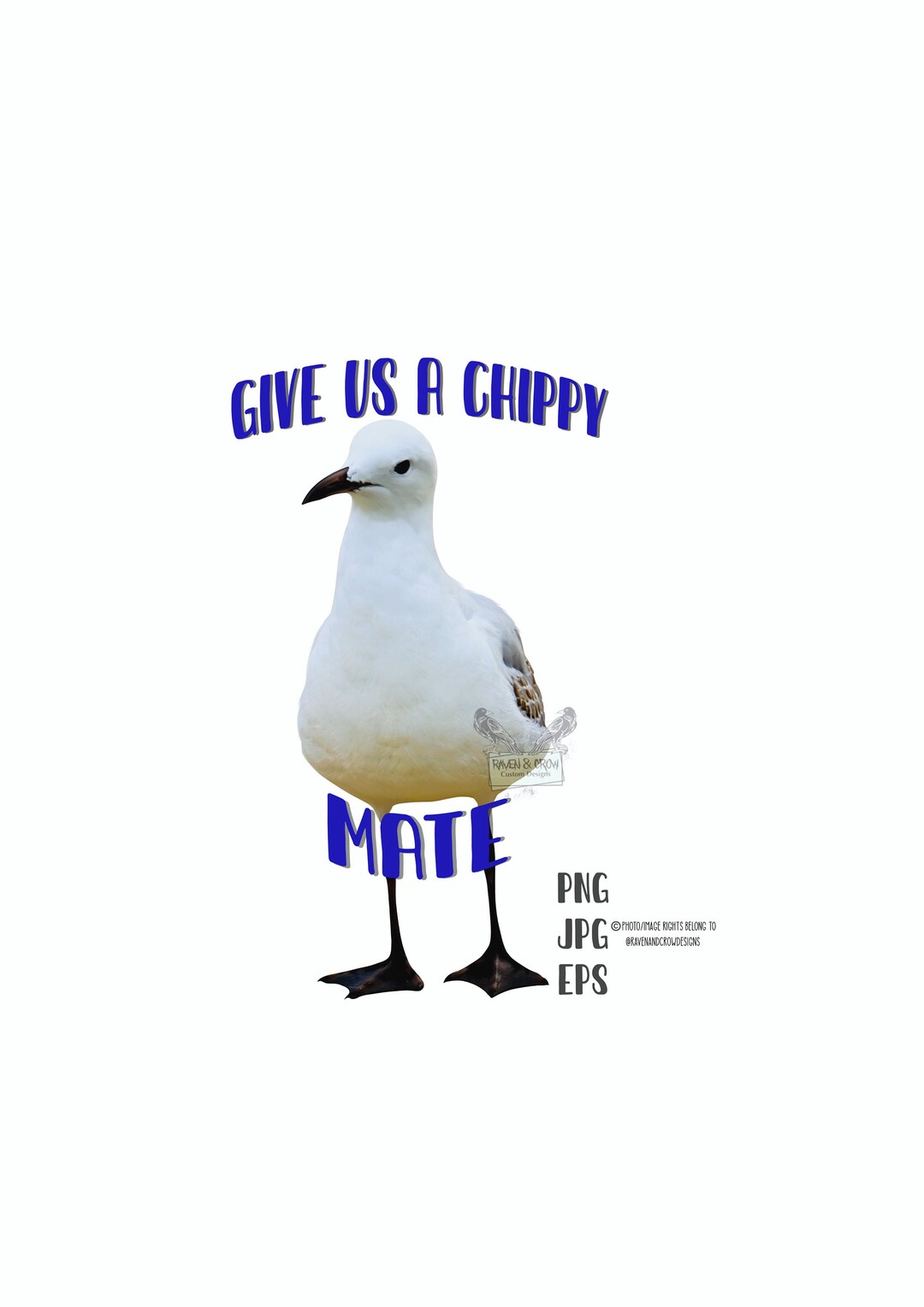 Funny- Seagull-australian Humour- PNG- JPG- EPS- Sublimation File ...