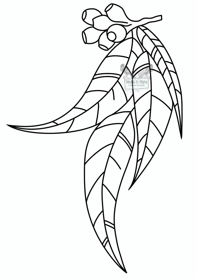 Eucalyptus-gum Leaf-gum Nut-svg Bundle- Foliage- Instant Download-png ...