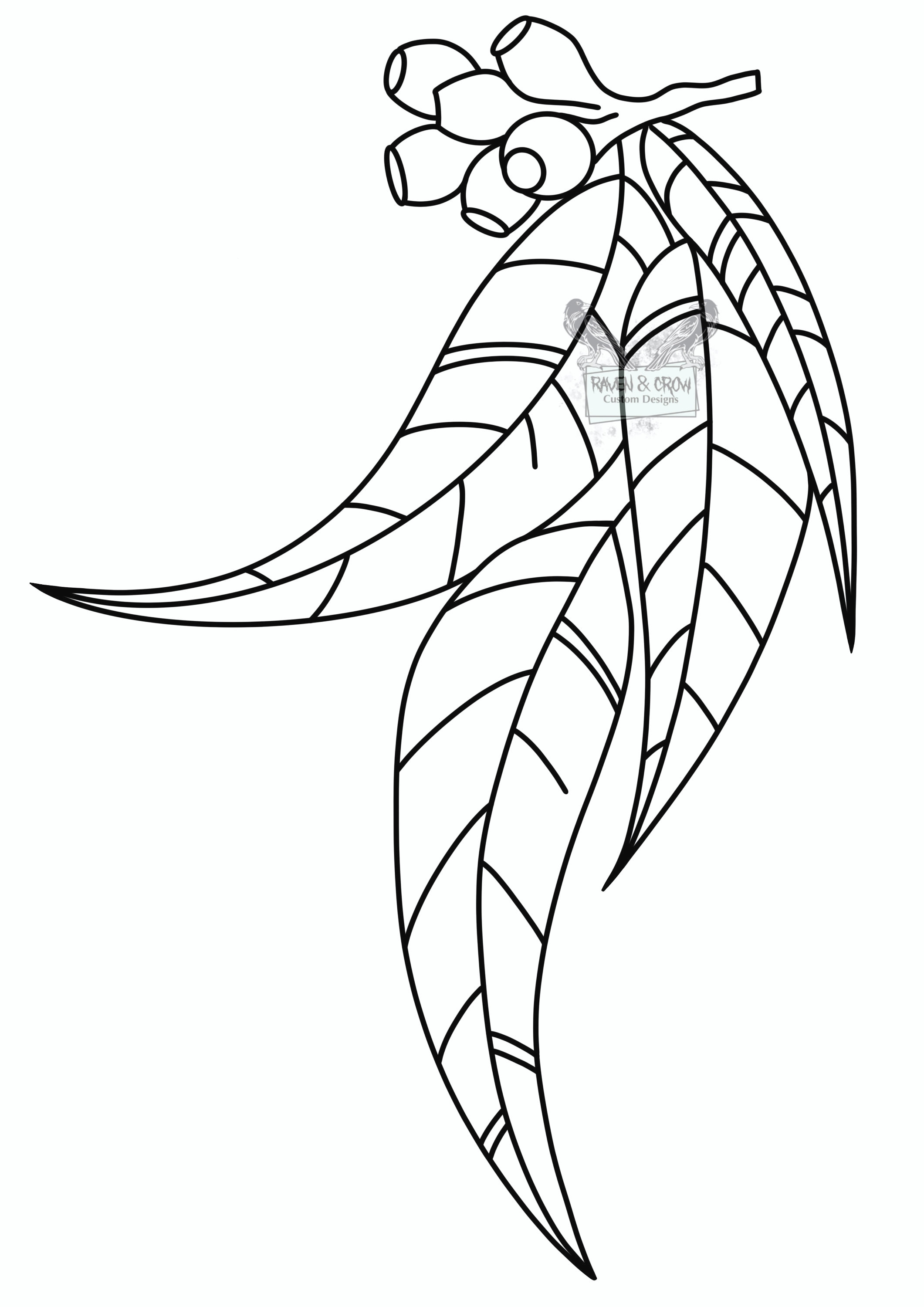 Eucalyptus-gum Leaf-gum Nut-svg Bundle- Foliage- Instant Download-png ...