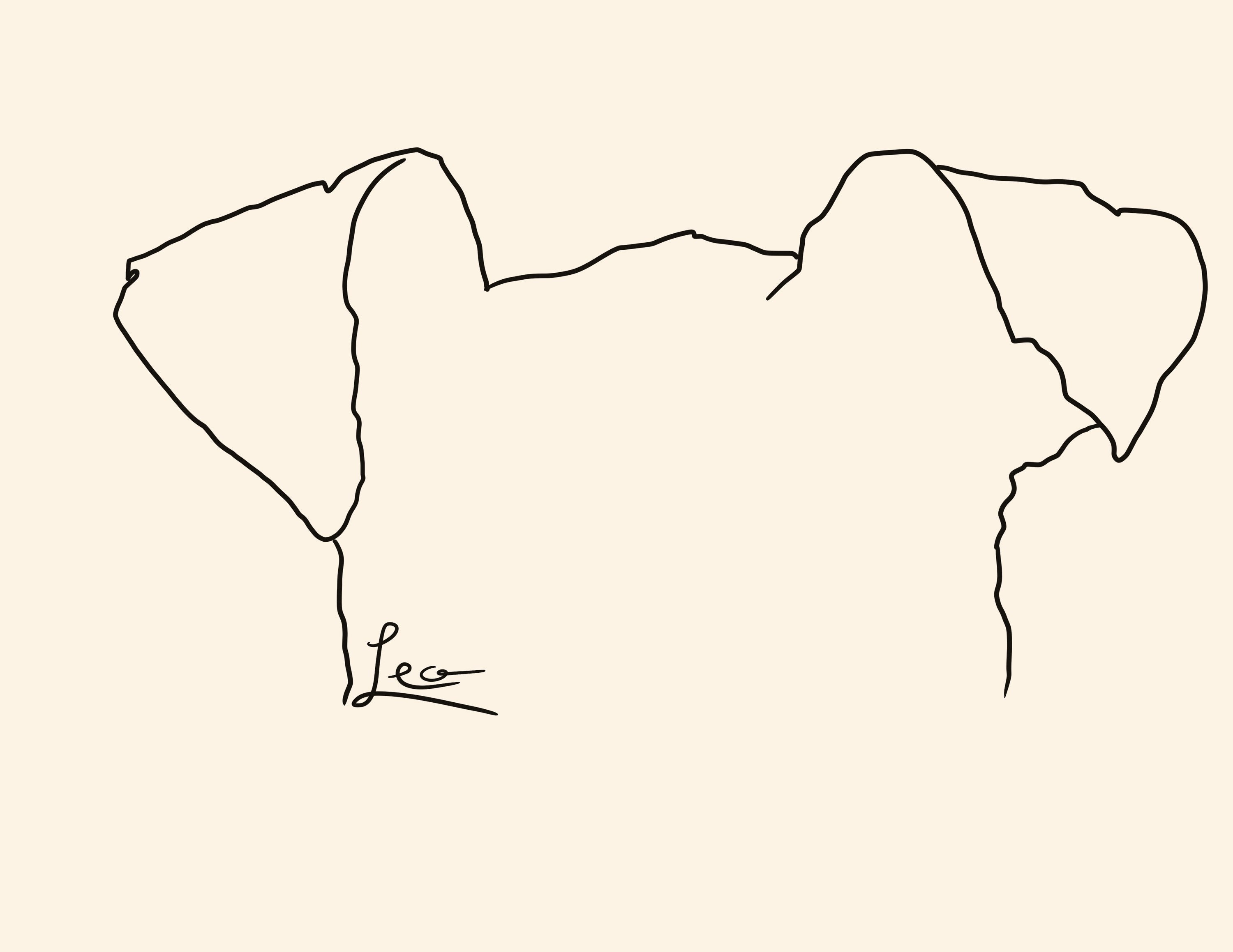 CUSTOM DOG EAR Outline,pet Ear Outline, Pet Ear Silhouette, Dog Ear ...