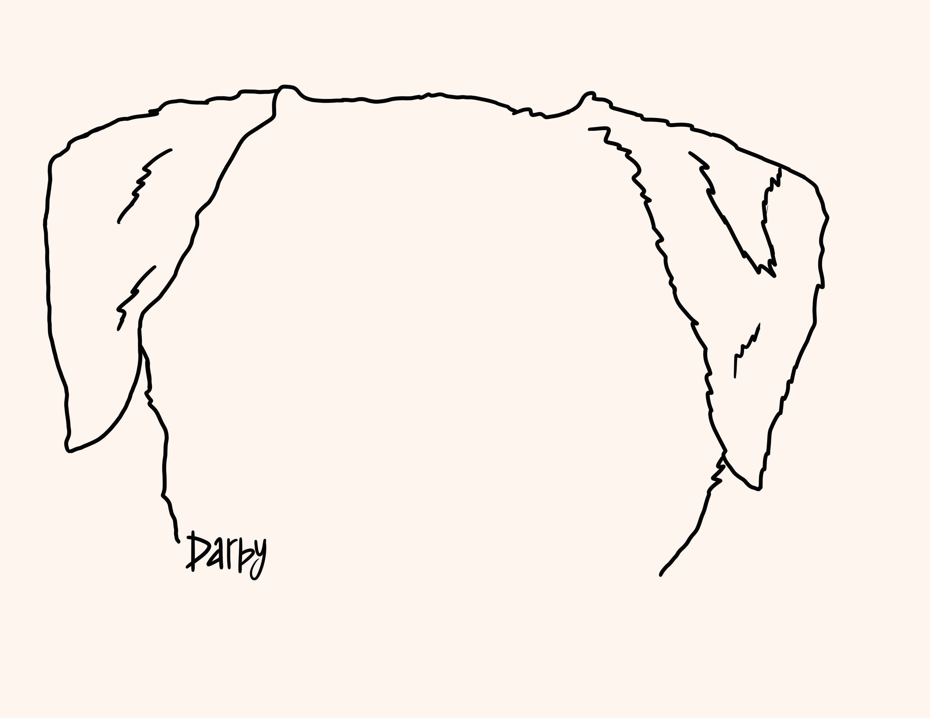 CUSTOM DOG EAR Outline,pet Ear Outline, Pet Ear Silhouette, Dog Ear ...