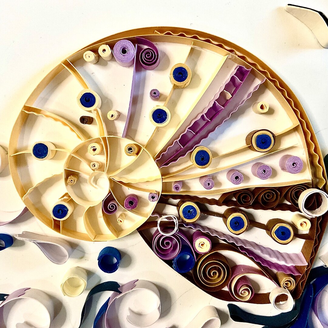 Sea Shell Paper Quilling Art in 6x8" Shadow Box Frame - Etsy