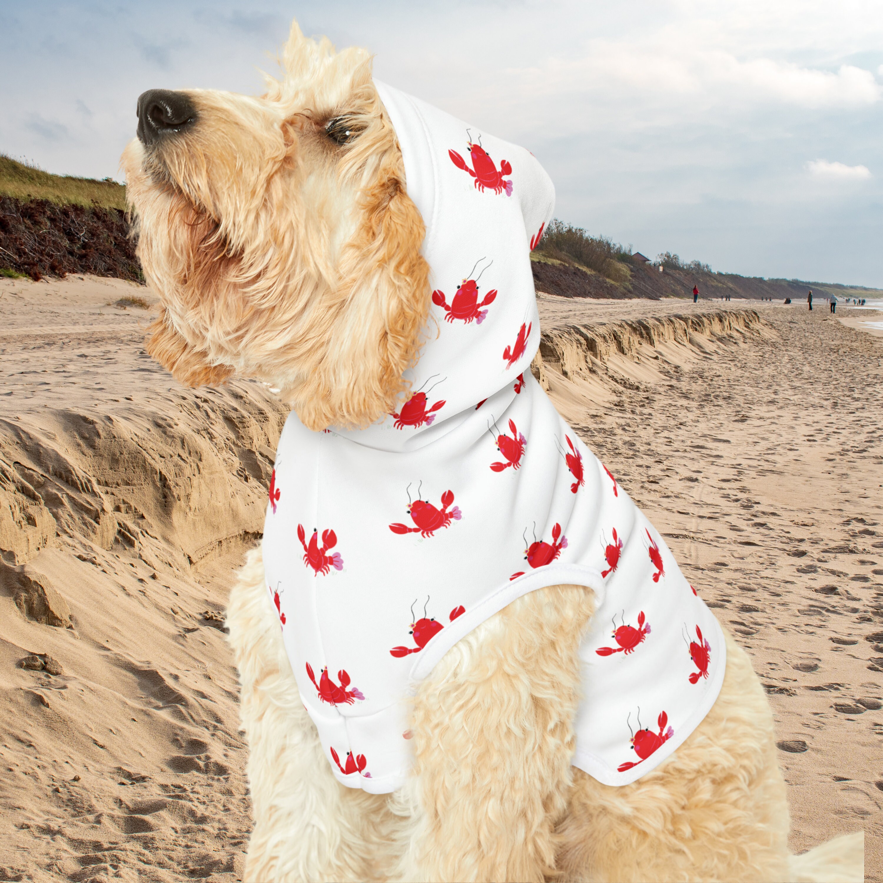 Pet Lobster Hoodie for Dogs & Cats, Exclusive Merch From Children's ...