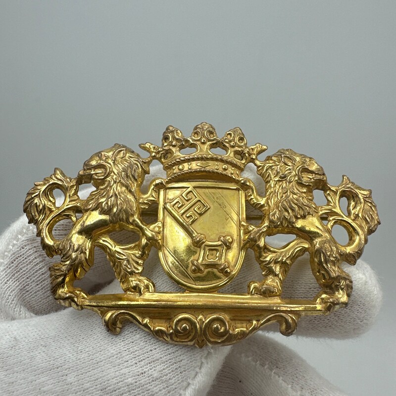 Lion Crest Brooch - Etsy