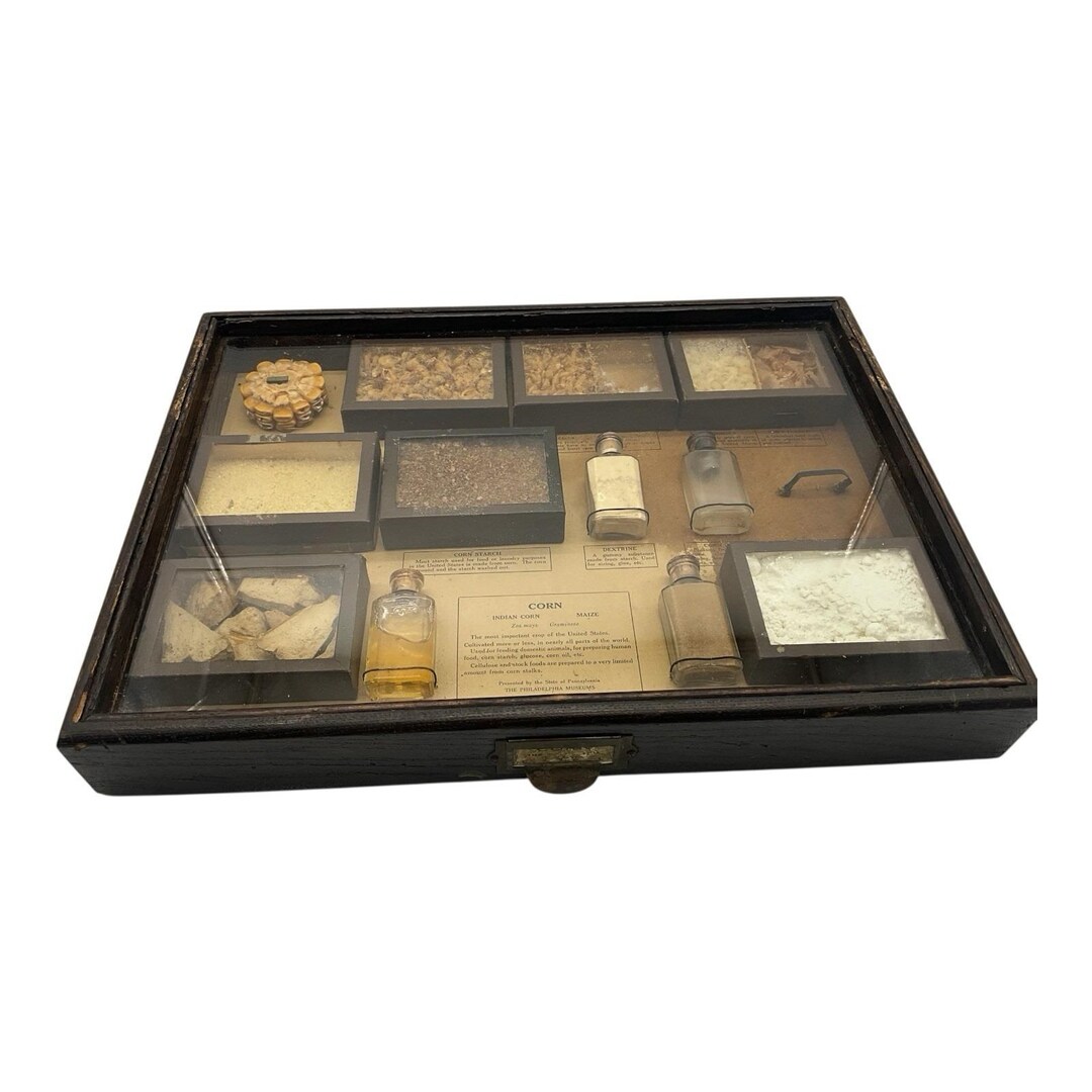 Antique Shadow Box Display Drawer CORN Product Samples From ...