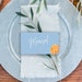Baby Blue Orange Modern Dinner Name Card Template, Printable Dinner ...