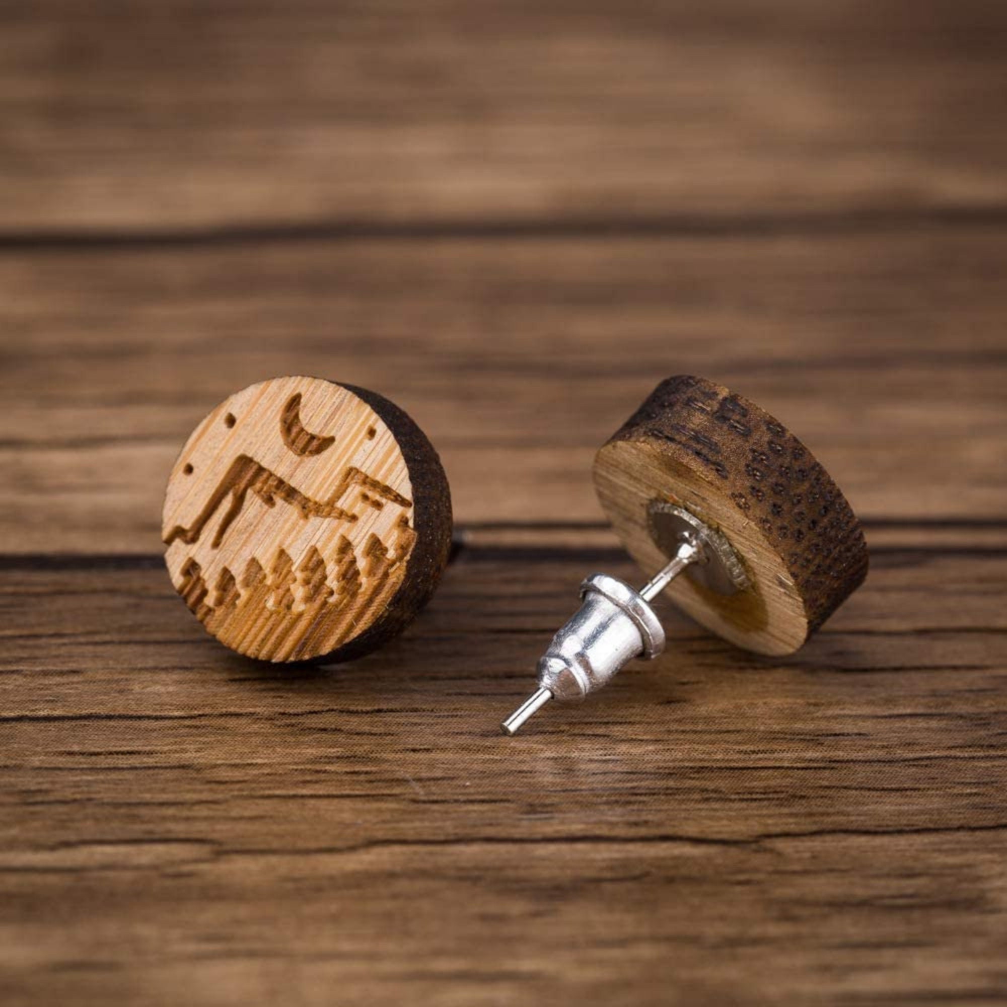 Handmade Globe World Map Earrings for Women, Men, Hiking Jewelry Gift ...