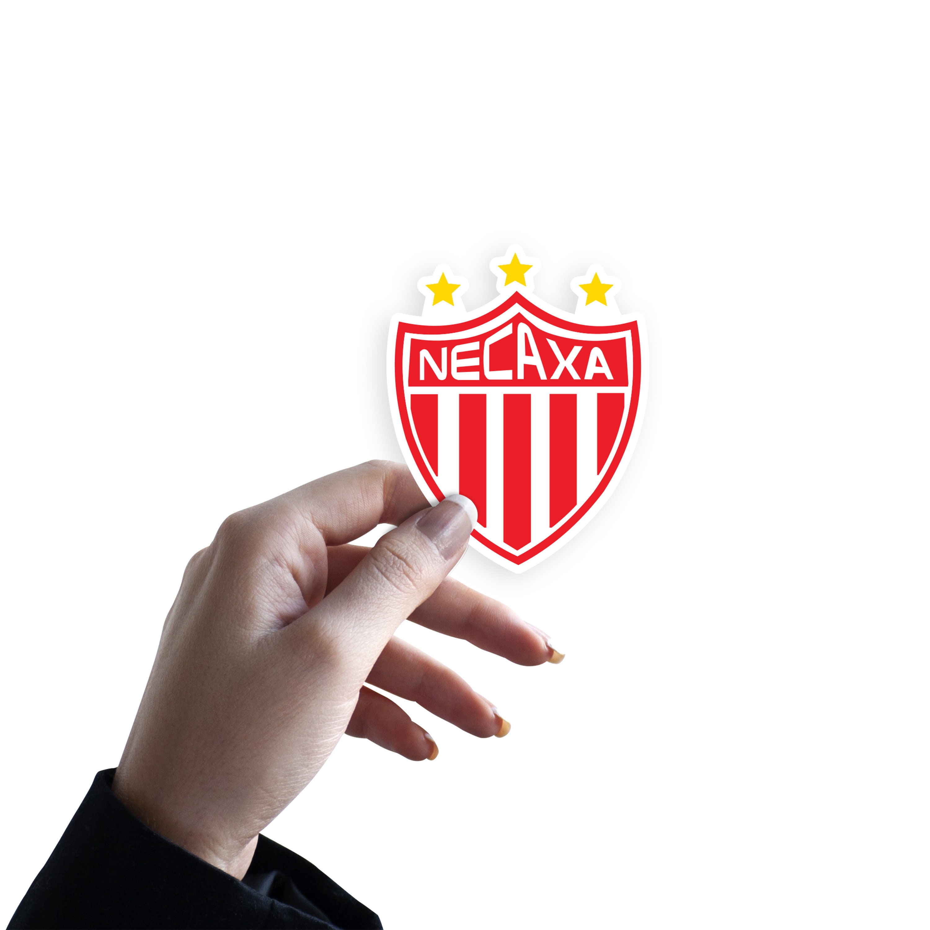 Set of 2 Stickers Necaxa: Decal/stickers Full Color Double UV Laminated ...