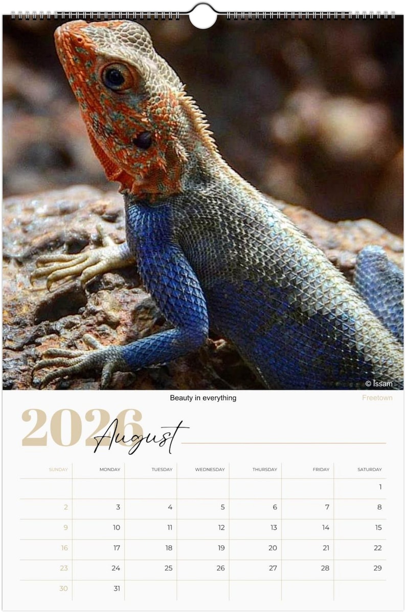 2026 Sierra Leone Wall Calendar — Custom Business Edition - Etsy