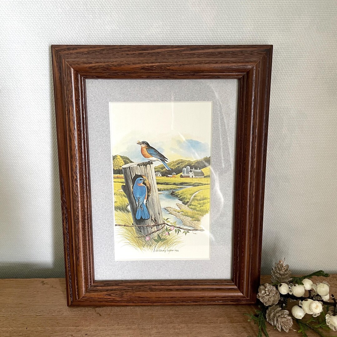 Vintage Framed Bluebirds Print, Signed Patrick J. Costello, Cabin Decor ...