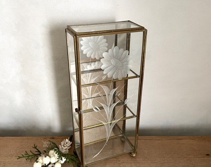Glass Display Case, Glass and Gold Display Case, Small Display Case ...