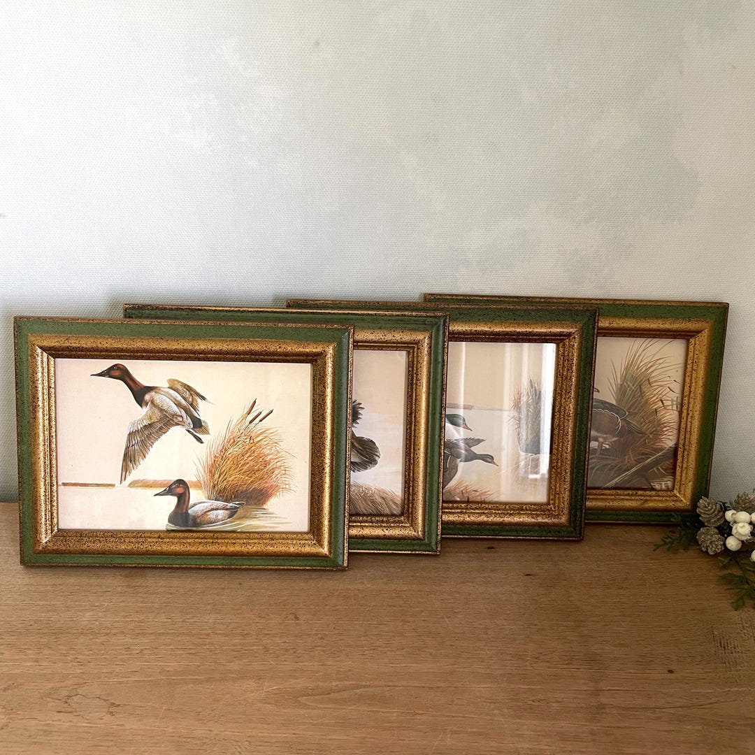 Set of 4 Duck Prints Vintage Duck Prints Framed Prints Cabin Decor ...