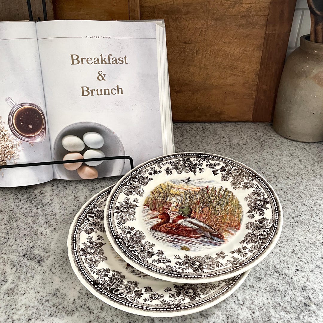 European Duck Plates, Set of 2 Dinner Plates, Decorative Plate, Brown ...