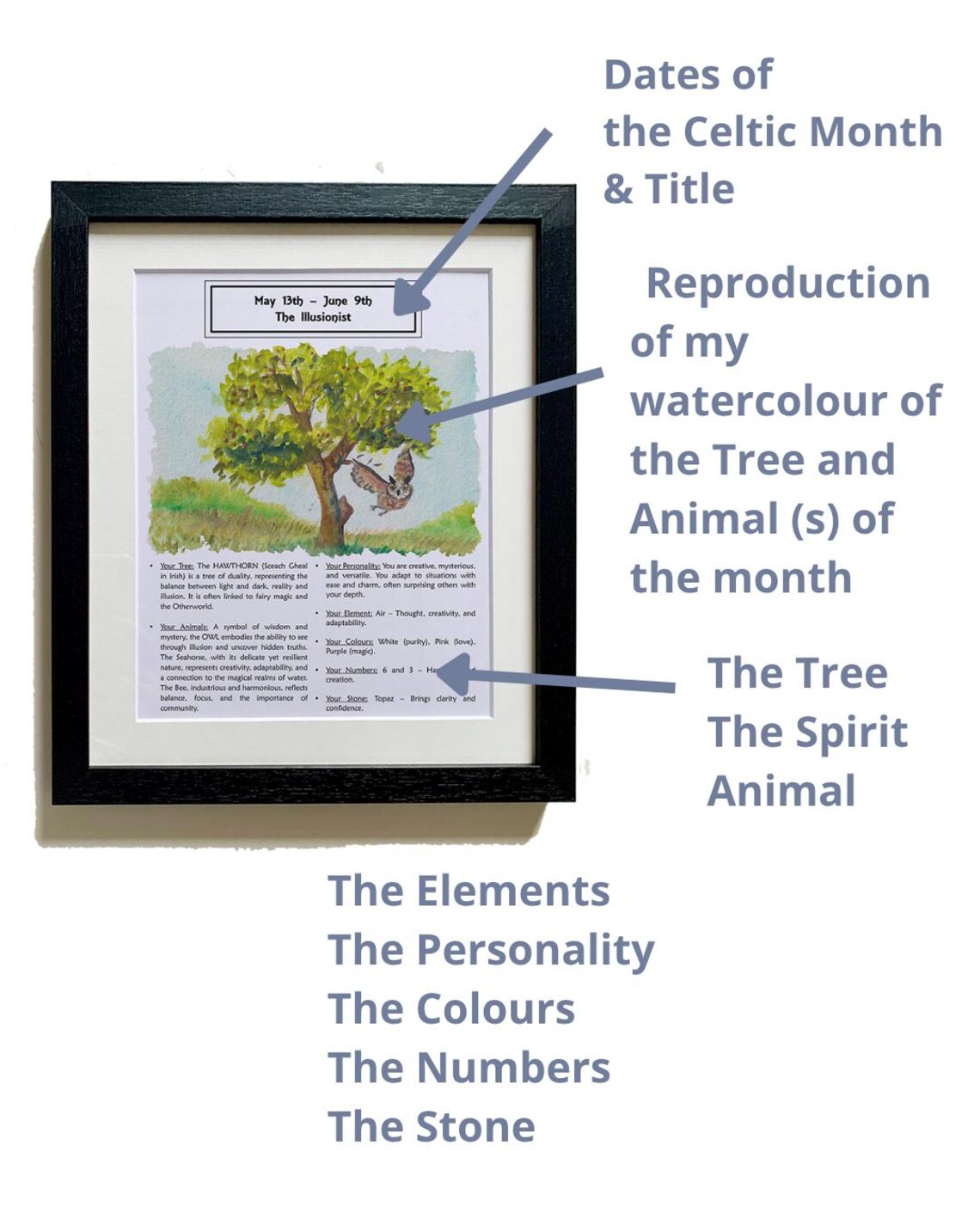 Celtic Zodiac Art Print | Hawthorn Tree & Owl | Mounted 12x10, Optional ...