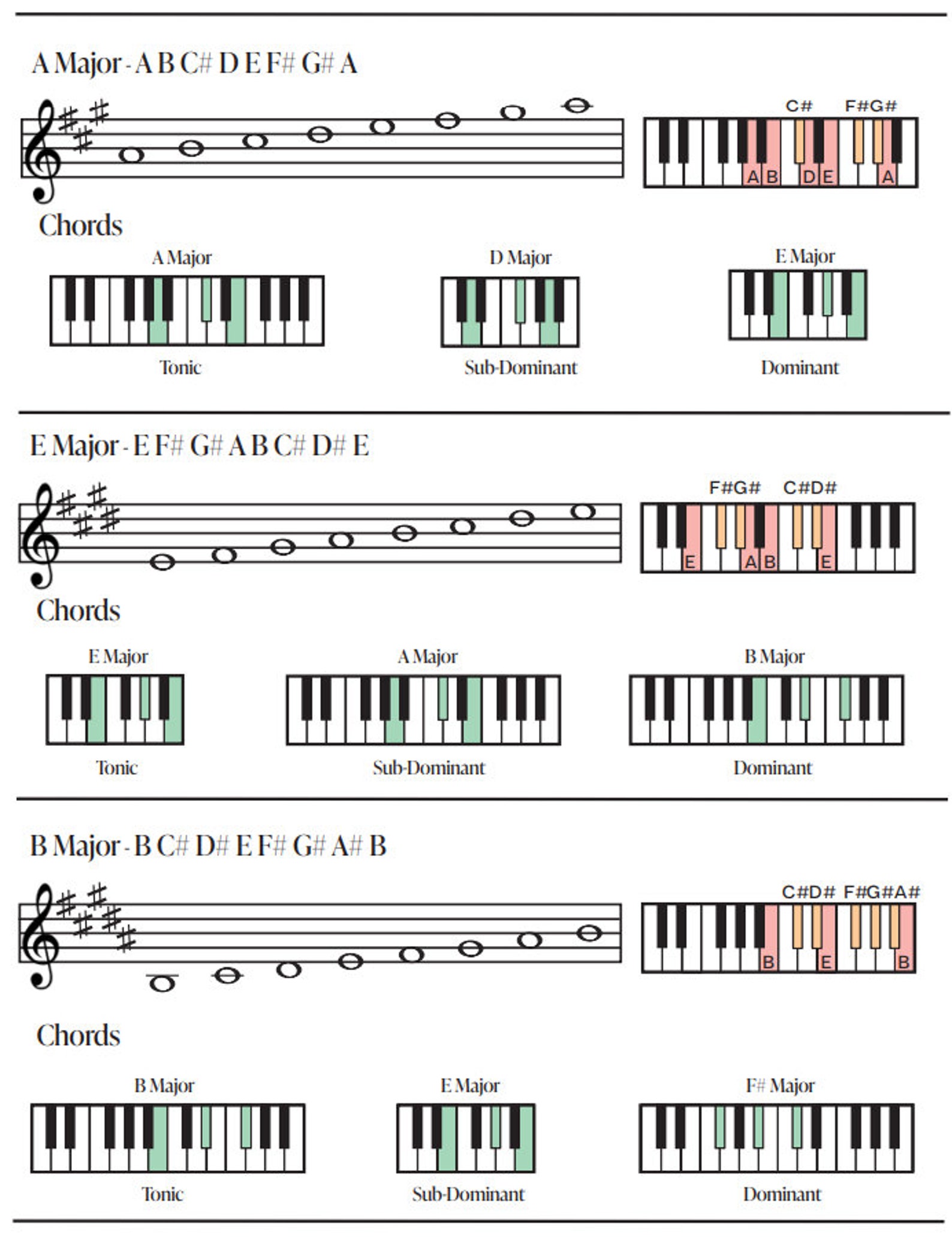 Music Theory Poster: Major Scales, Chords in Every Key (digital ...
