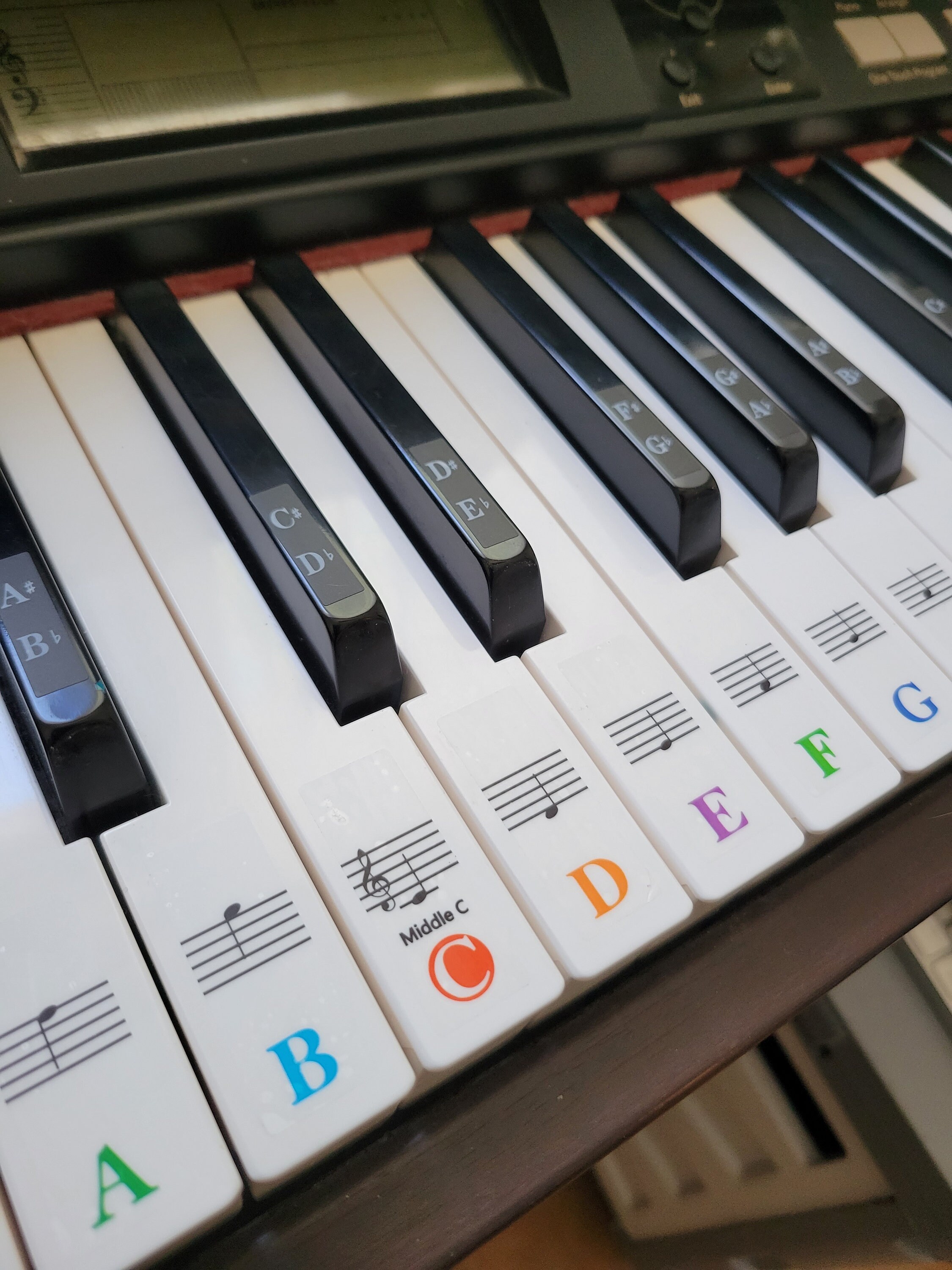Piano Key Labels Piano Note Stickers Transparent Piano Keyboard ...