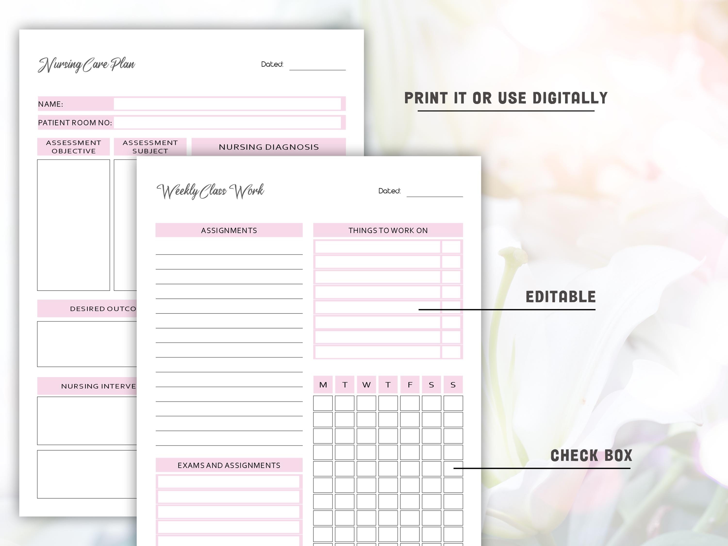 Nursing School Planner, Nursing Student Organizer, Study Planner for ...