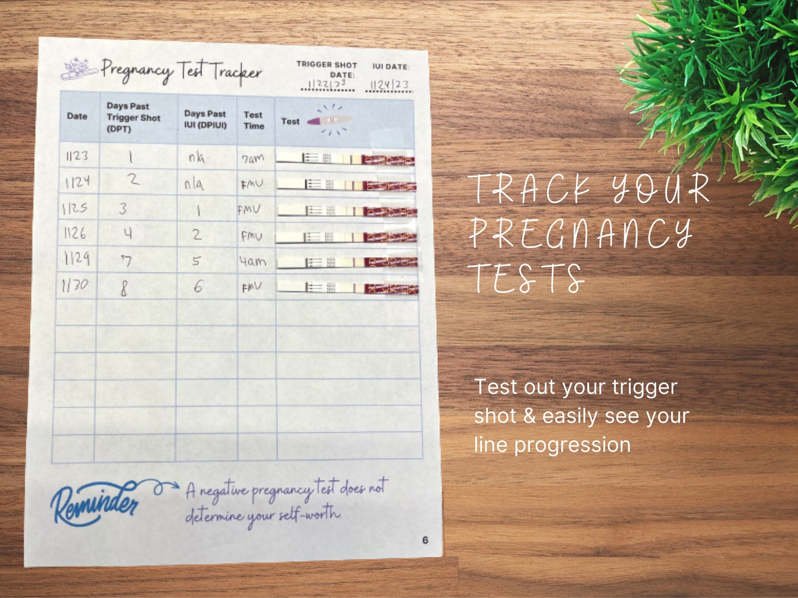 IUI Printable Planner Guide & Activity Book for Intrauterine ...