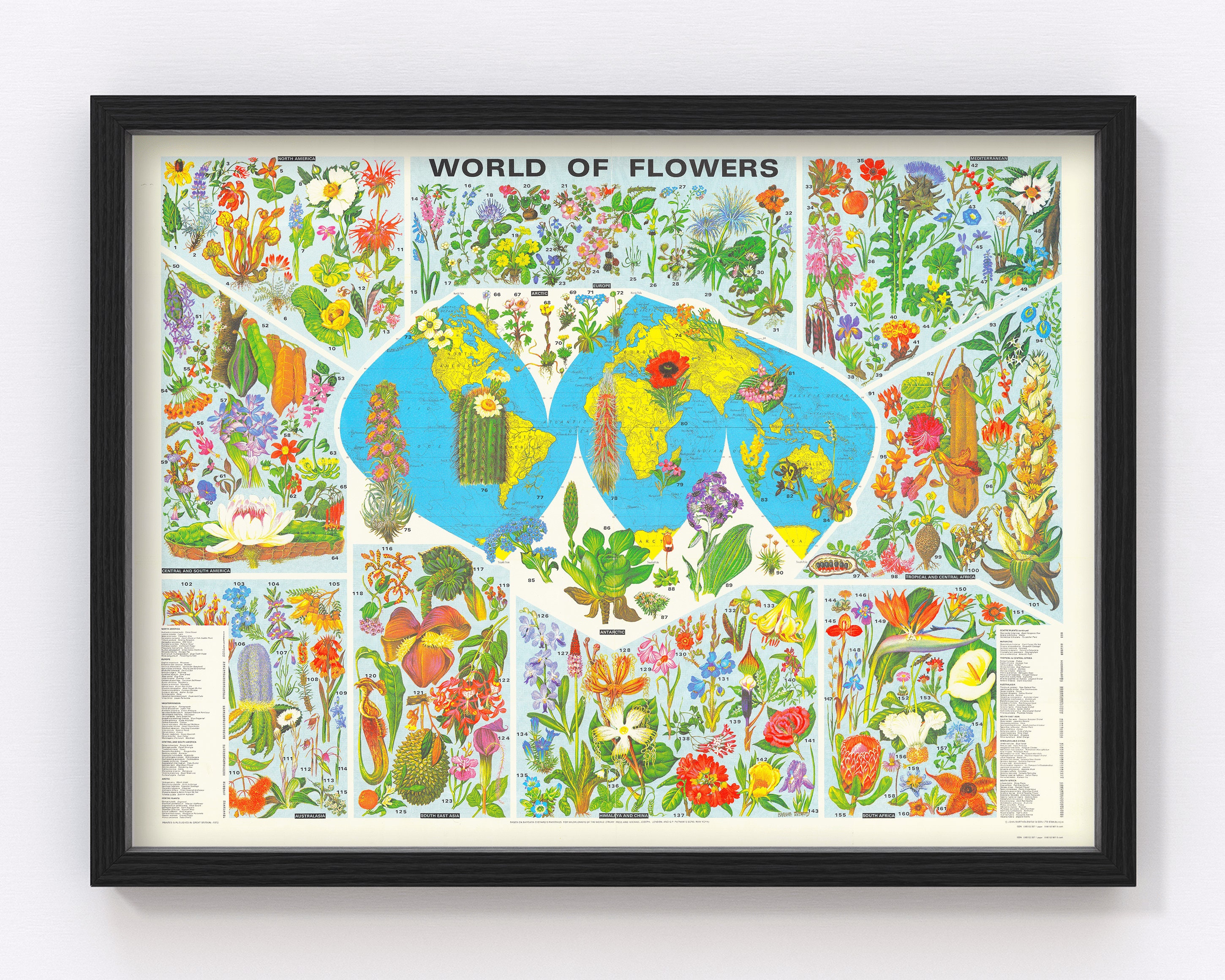 Vintage world of Flowers Map / Vintage Flower Art Print / Floral Art ...