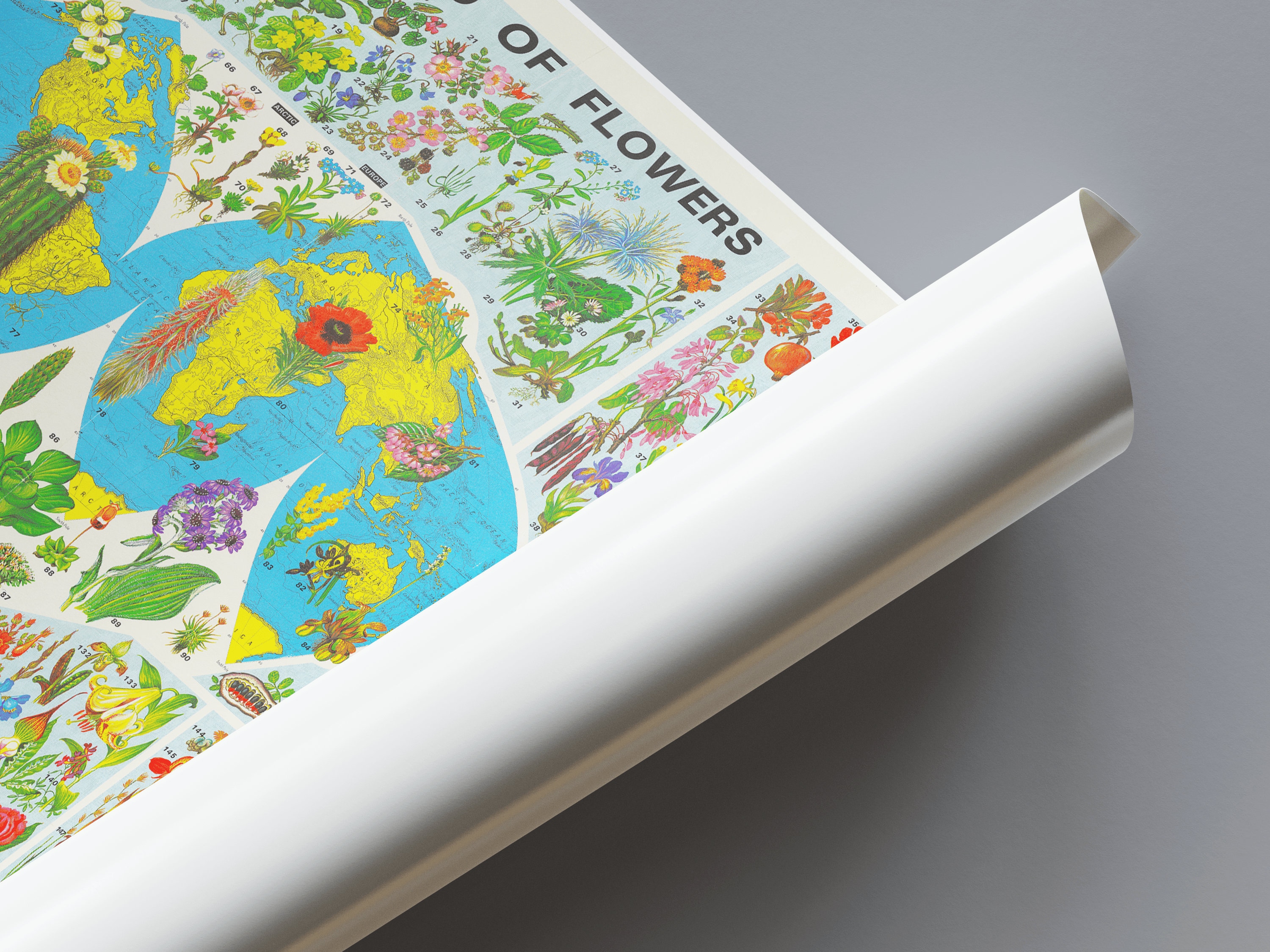 Vintage world of Flowers Map / Vintage Flower Art Print / Floral Art ...