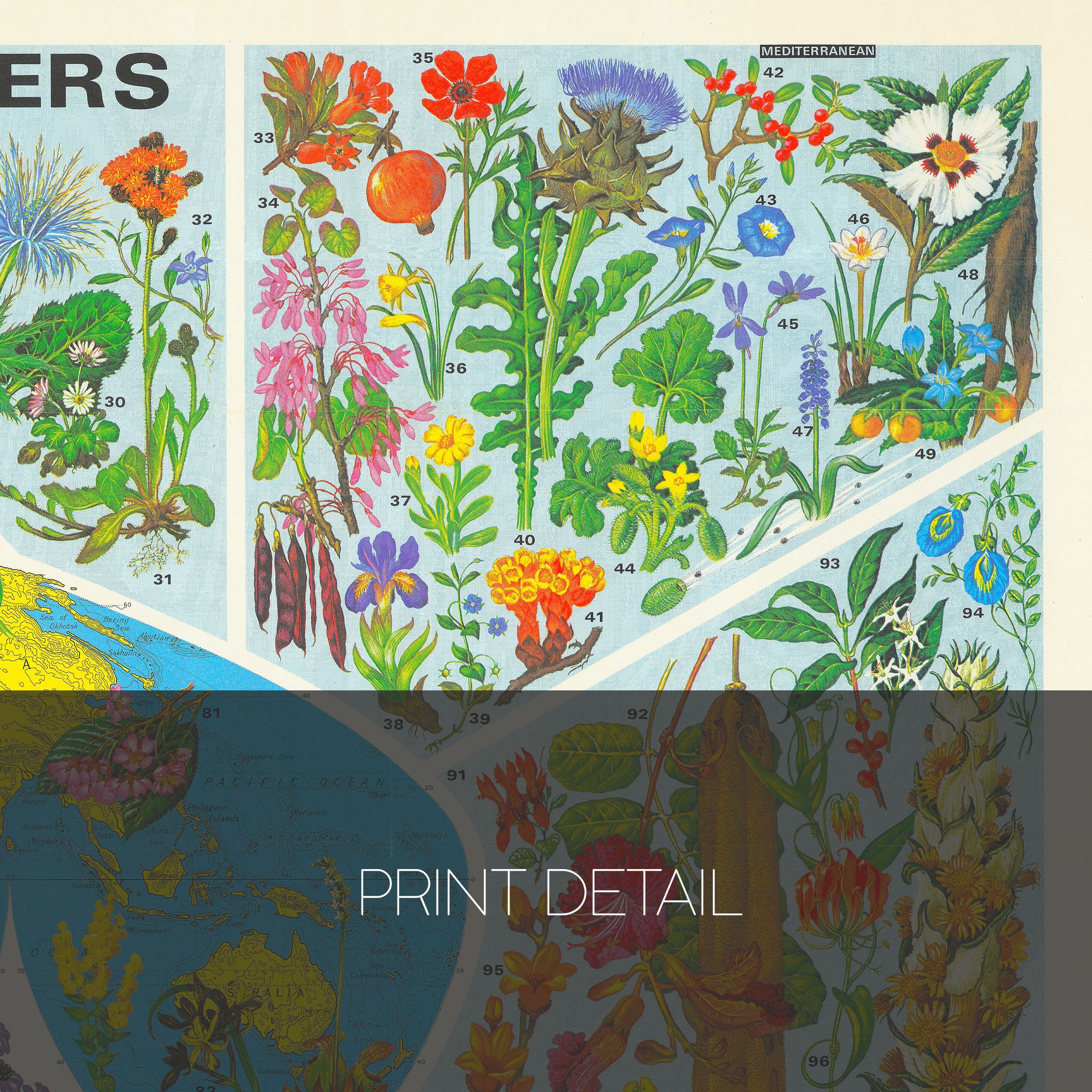 Vintage world of Flowers Map / Vintage Flower Art Print / Floral Art ...