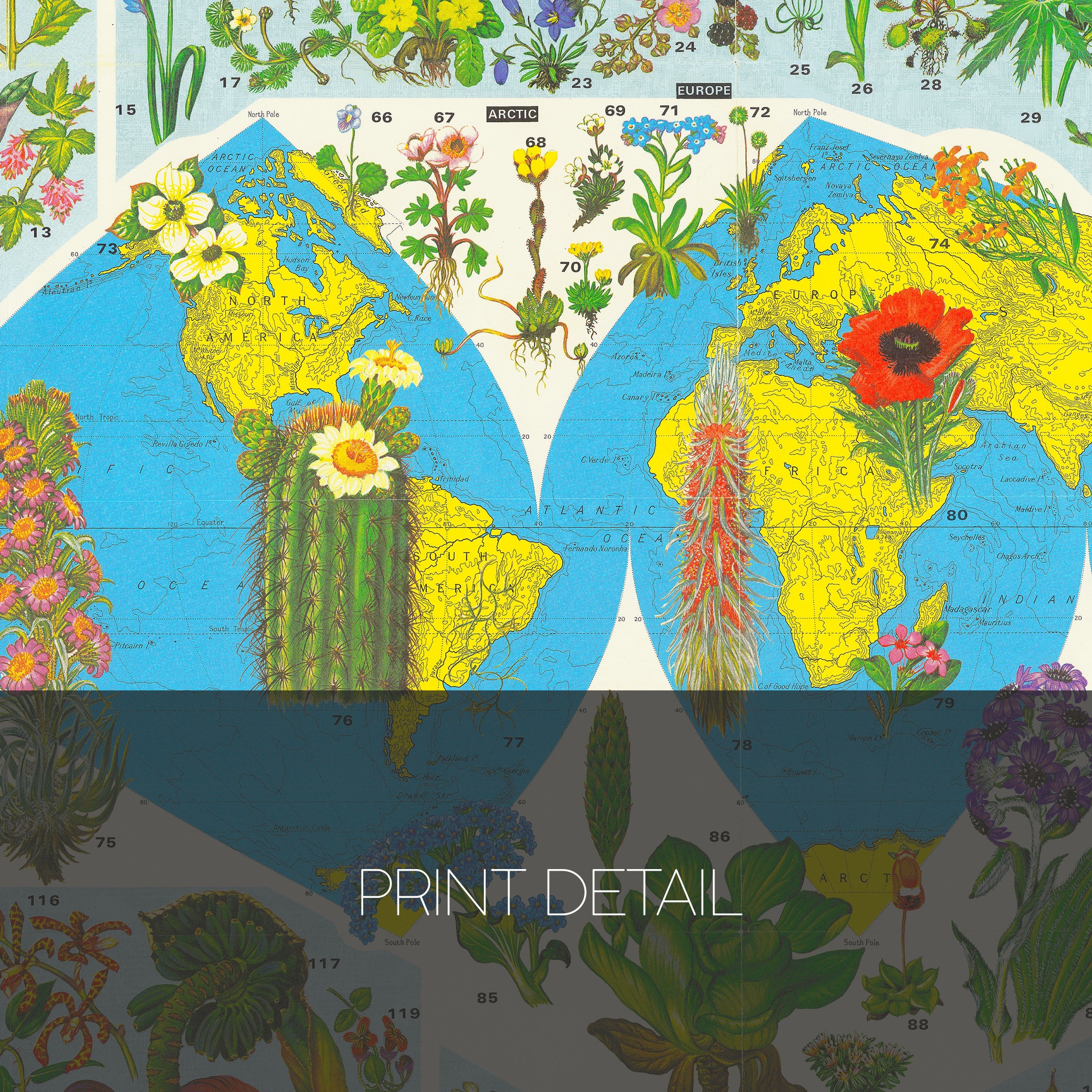 Vintage world of Flowers Map / Vintage Flower Art Print / Floral Art ...