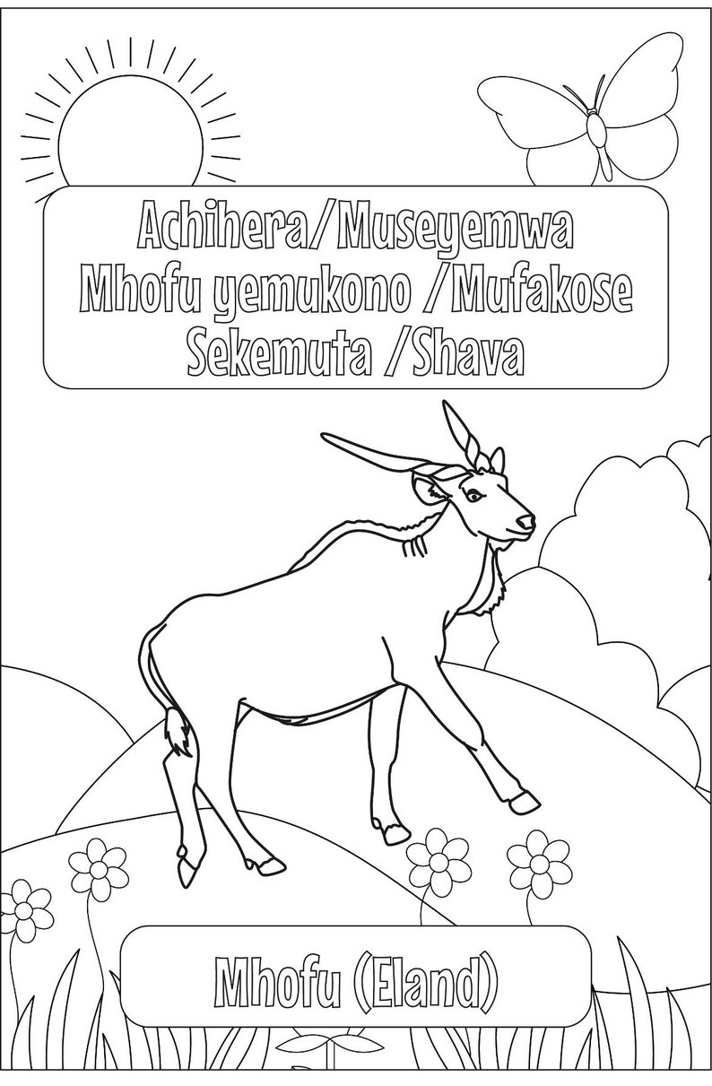 Colouring Book - Etsy