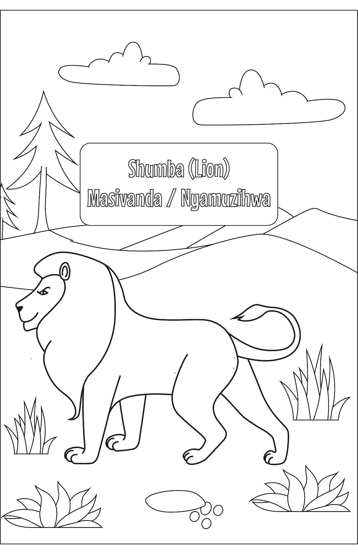 Colouring Book - Etsy