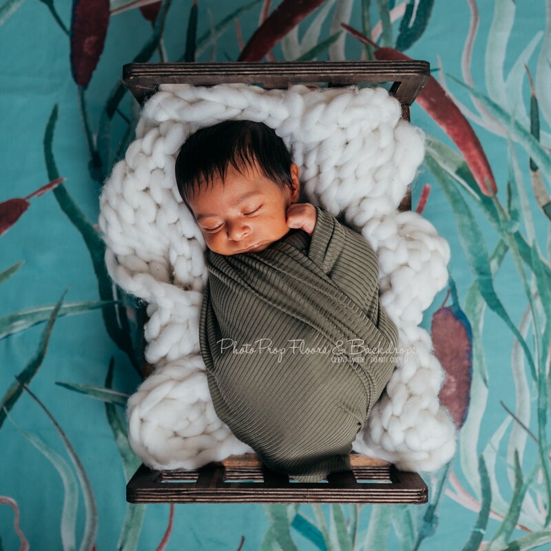 Swamp Backdrop - Etsy