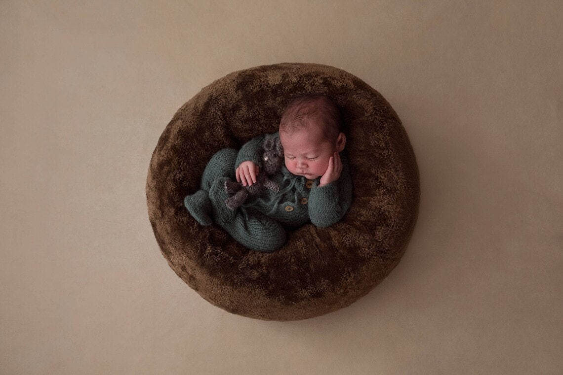 The Perfect Posie® PRE-FILLED, Newborn Photography Beanbag, Posing Aid ...