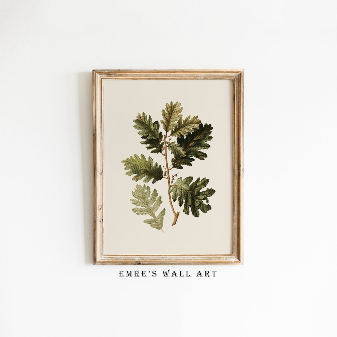 Vintage Botanical Tree Branch Print, Oak Drawing Wall Decor, Rustic ...