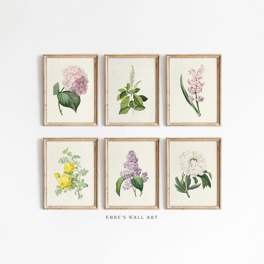 Vintage Flower Prints Set: Botanical Gallery Wall Art (digital Download ...