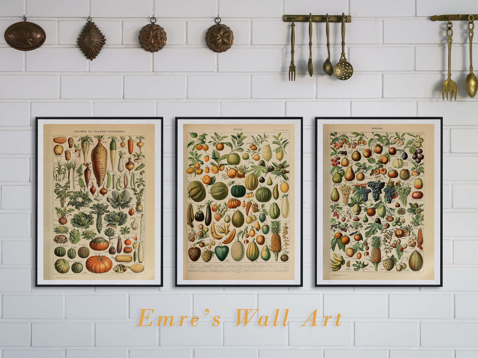 Vintage Fruit and Vegetable Print Botanical Kitchen Gallery | Etsy