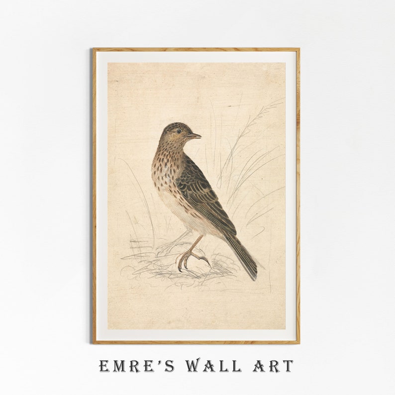 Vintage Bird Sketch Art Print: Neutral Farmhouse Decor (digital ...