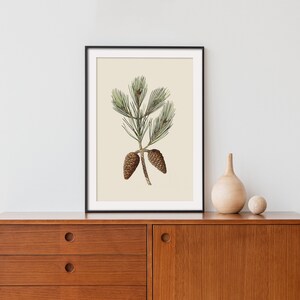 Pine Sketch Art Drawing, Pine Cone Printable, Branch Wall Decor, Winter ...