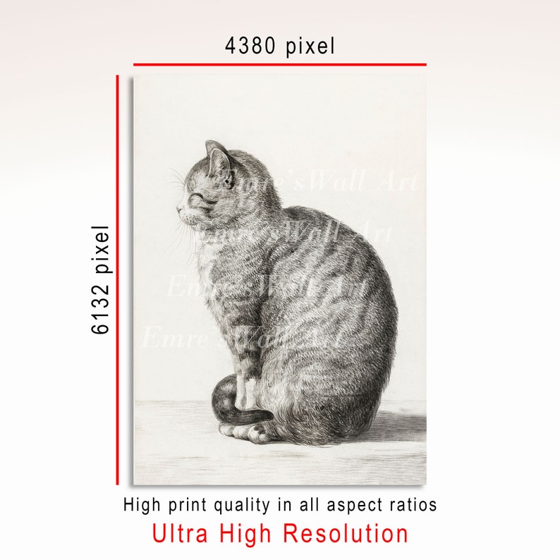 Vintage Cat Sketch Print: Antique Animal Wall Art (digital Download) - Etsy