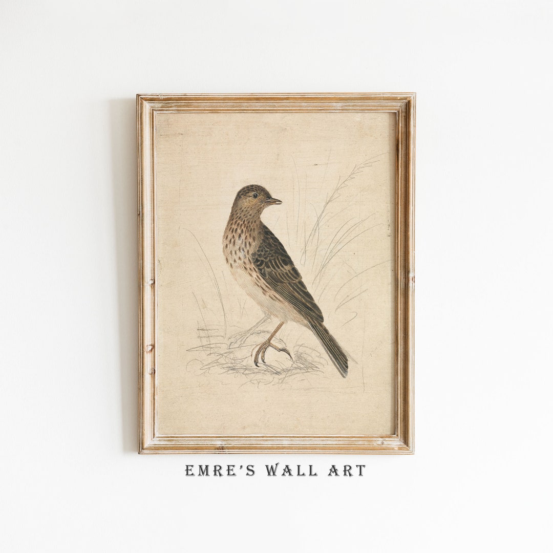Vintage Bird Art Print, Antique Bird Sketch Art, Neutral Farmhouse Wall ...