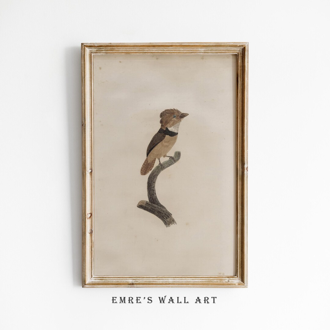 Antique Bird Sketch Print, Vintage Nursery Bird Drawing, Retro Fine Art ...