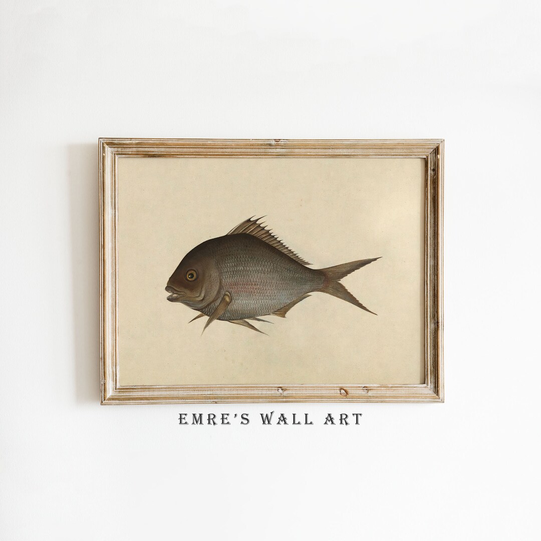 Vintage Fish Drawing Print, Kids Room Fish Wall Art PRINTABLE, Neutral ...