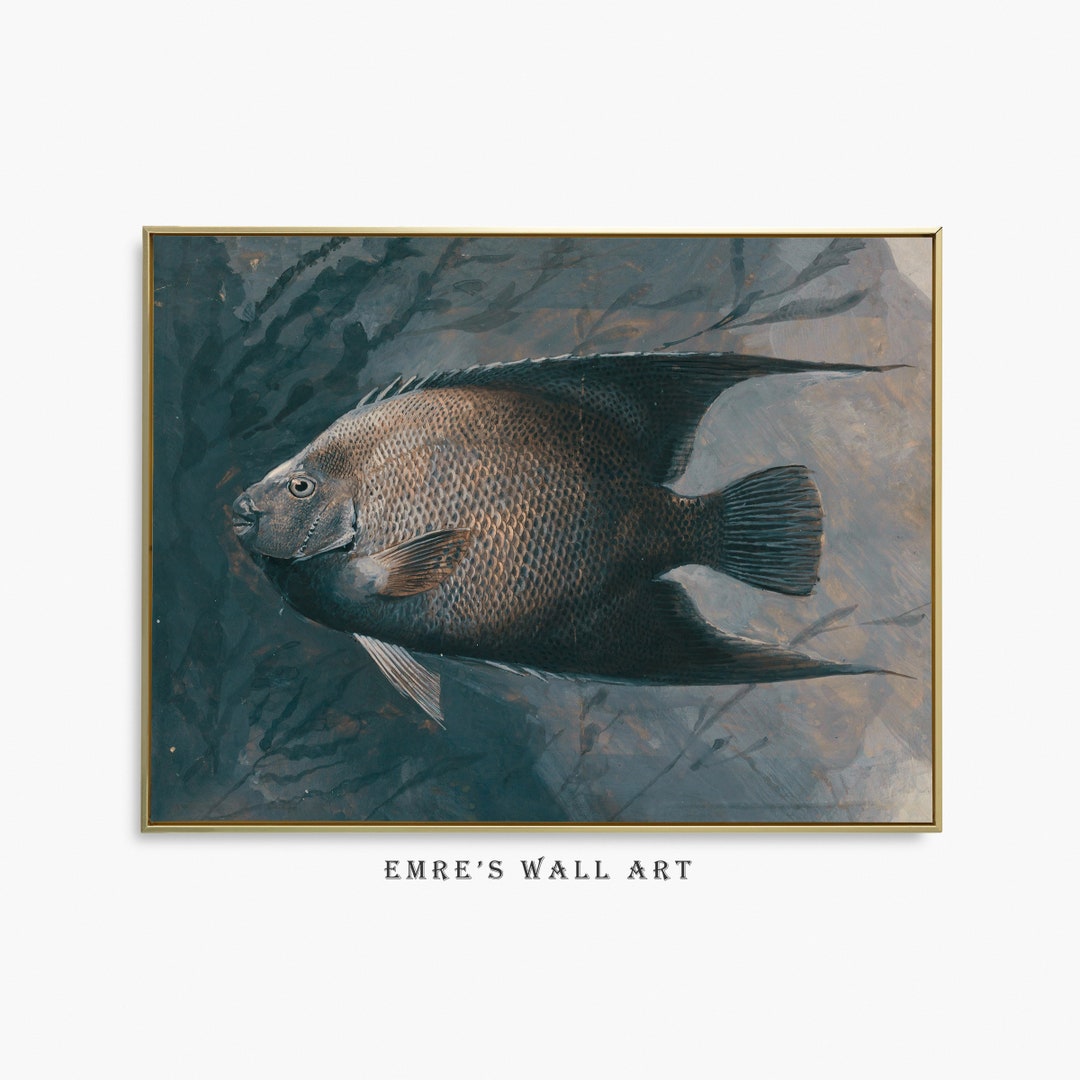 Fish Painting Print, Angel Fish Decor, Vintage Nursery Animal Prints ...