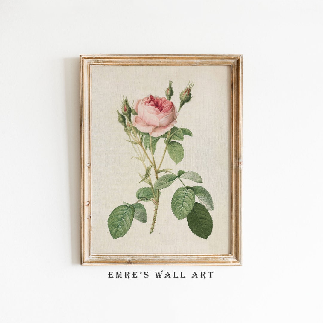 Vintage Rose Print, Antique Flower Print, Vintage Floral Painting ...