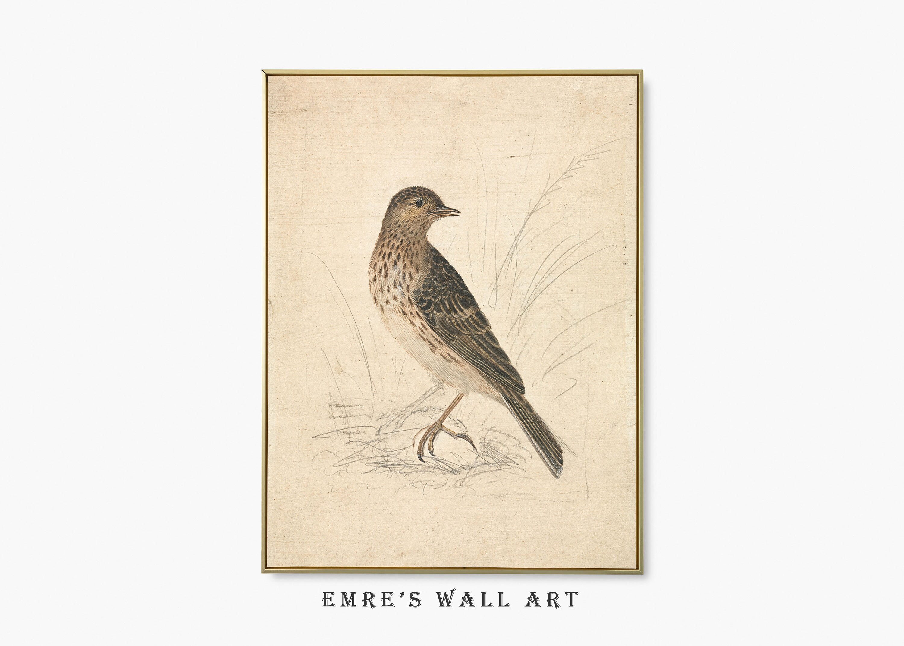 Vintage Bird Sketch Art Print: Neutral Farmhouse Decor (digital ...