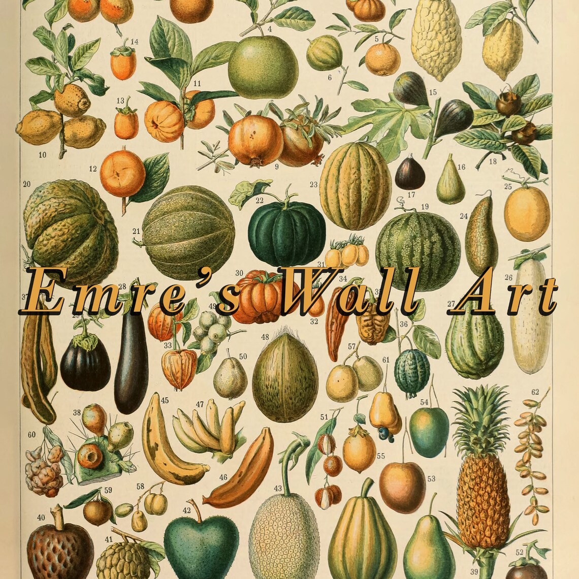 Vintage Fruit and Vegetable Print Botanical Kitchen Gallery | Etsy